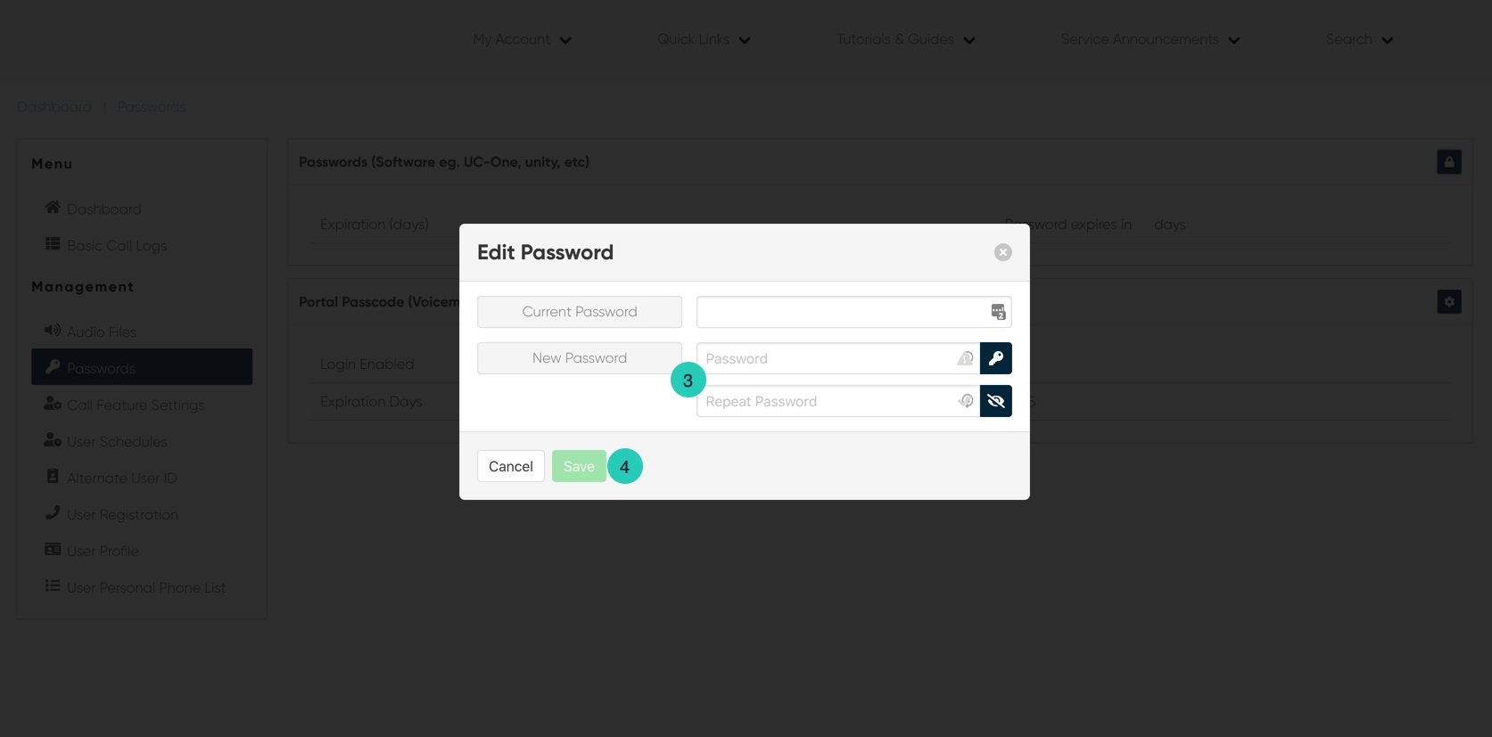 Business Voice Portal - Passwords