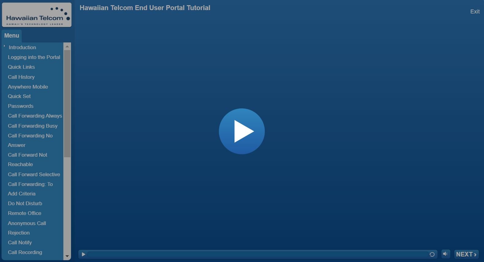 Business Voice Portal Guides